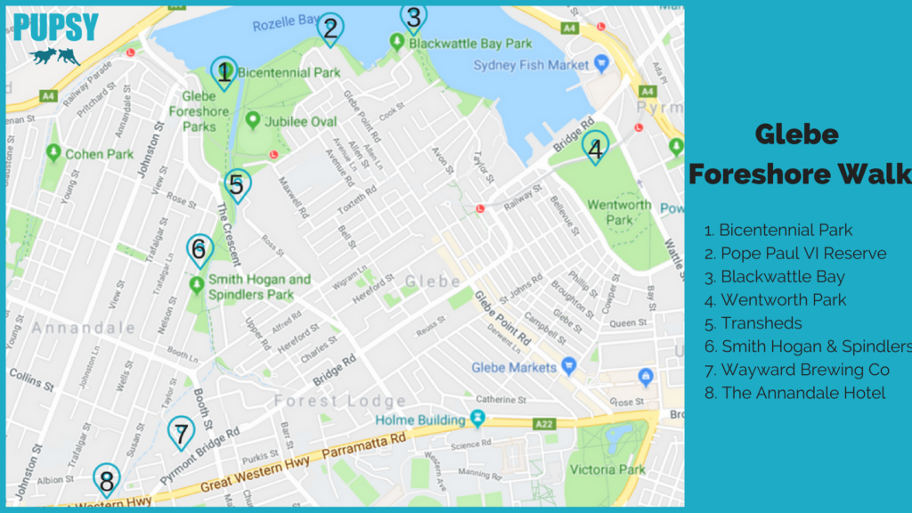 Amazing dog walking area right next door to Sydney CBD | Glebe ...