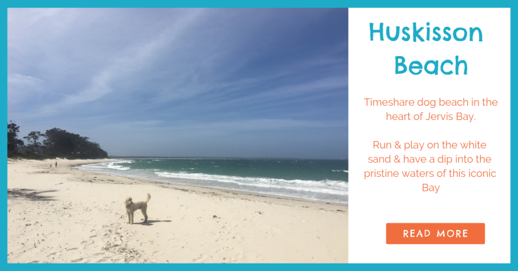 Huskisson Beach | Timeshare Dog Friendly Beach in Huskisson (Jervis Bay ...