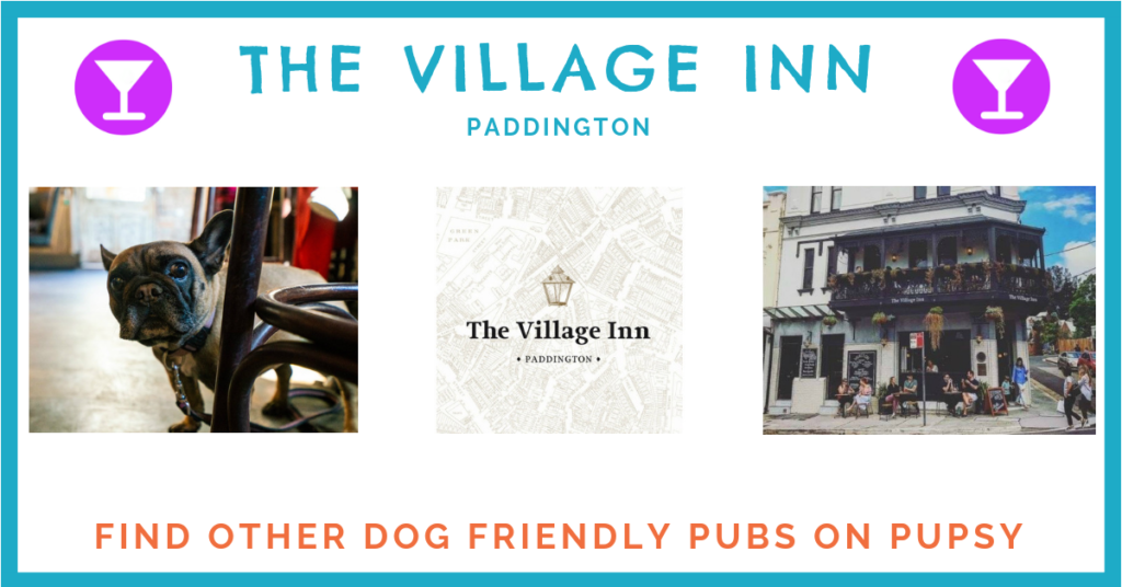 The Village Inn | Dog friendly Pub in Paddington | Pupsy