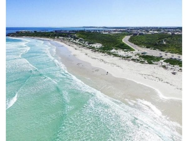 Dongara Tourist Park | Dog Friendly Camping in Dongara | Pupsy