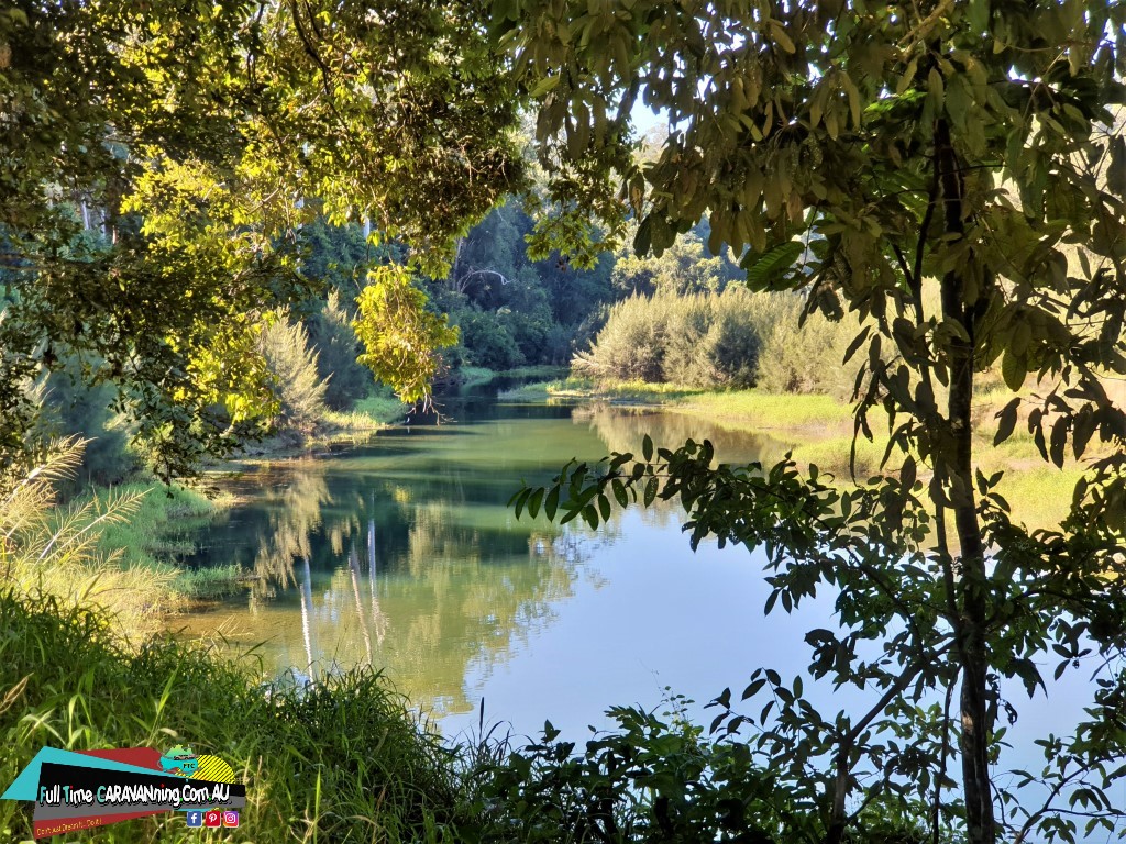 Fig Tree Walk | Dog Friendly Walk in Kenilworth | Pupsy