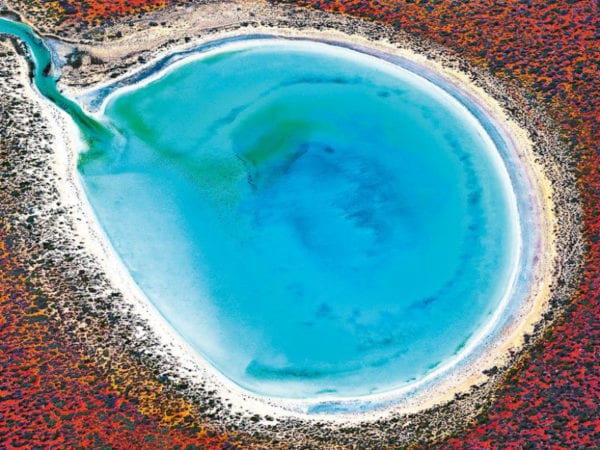 Little Lagoon | 24h Dog Friendly Beach in Denham | Pupsy