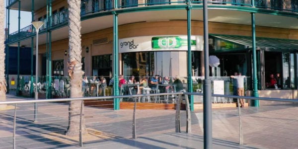 Best Dog Friendly Beaches and Bars in Adelaide | Pupsy