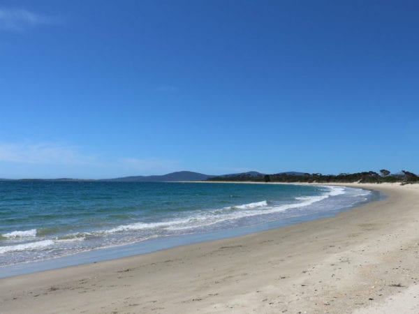 North Rheban Beach | 24h Dog Friendly Beach | Pupsy