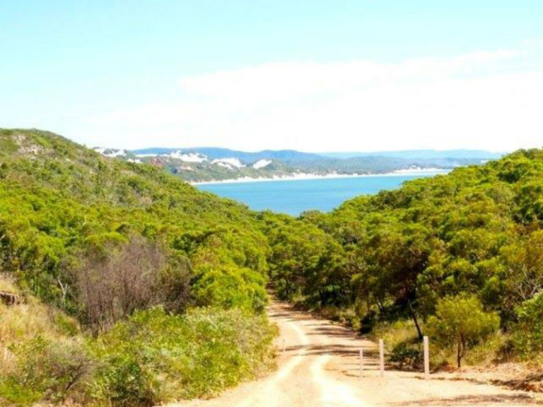 Eddies Elim Beach Campground | Dog Friendly Camping in Hopevale | Pupsy