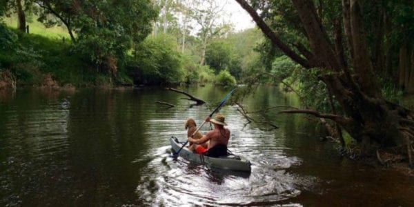 Top 15 Dog Friendly Camping Grounds in Queensland | Pupsy