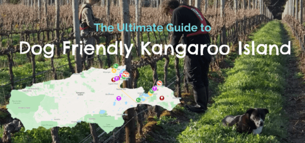PET FRIENDLY KANGAROO ISLAND | Pupsy