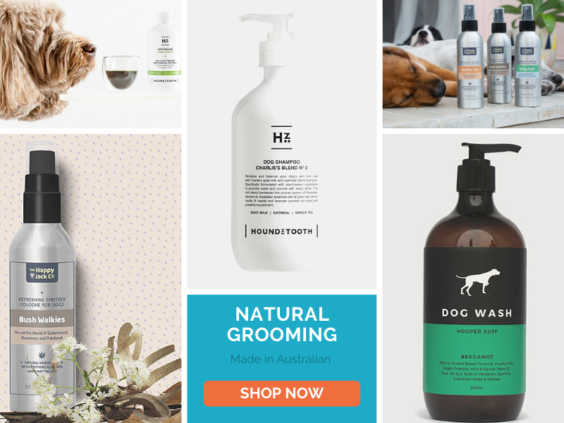 GROOMING-ad-banner | Pupsy