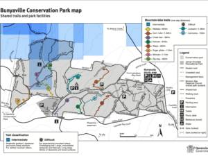 Bunyaville Conservation Park | Dog Friendly Hike in Bunya | Pupsy