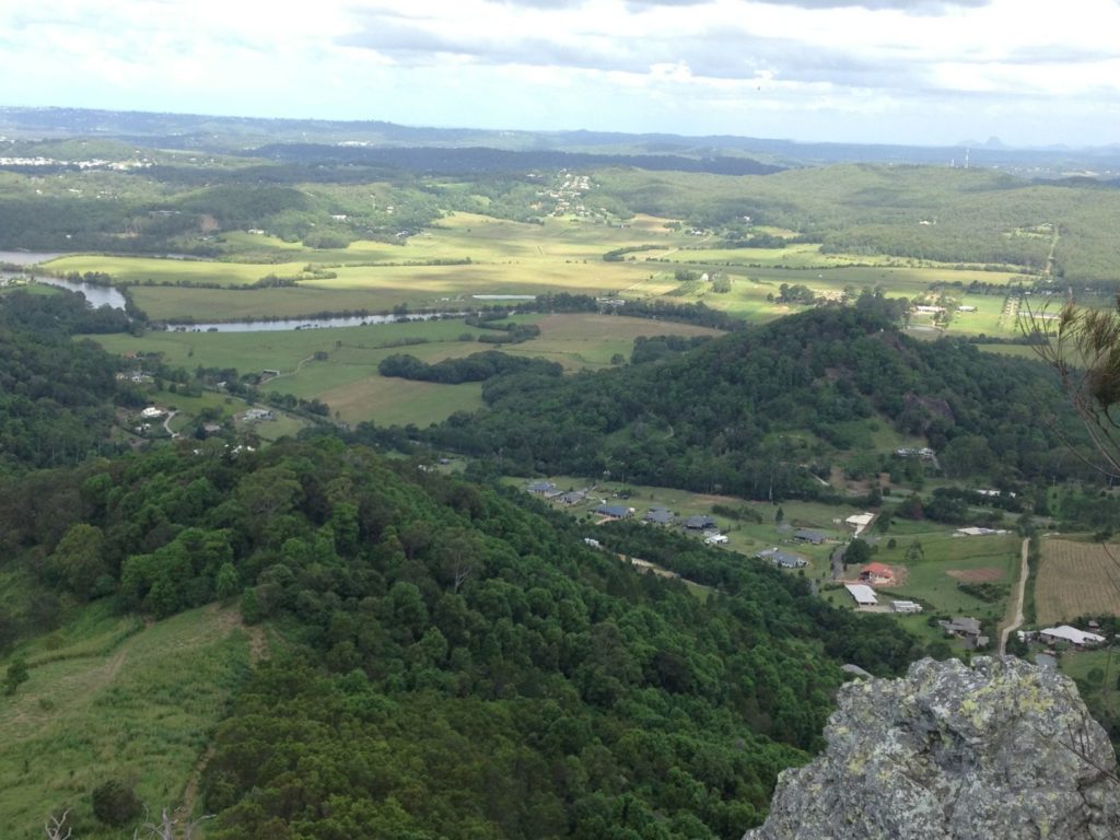 Mount Ninderry Trail | Dog Friendly Hike in Ninderry | Pupsy