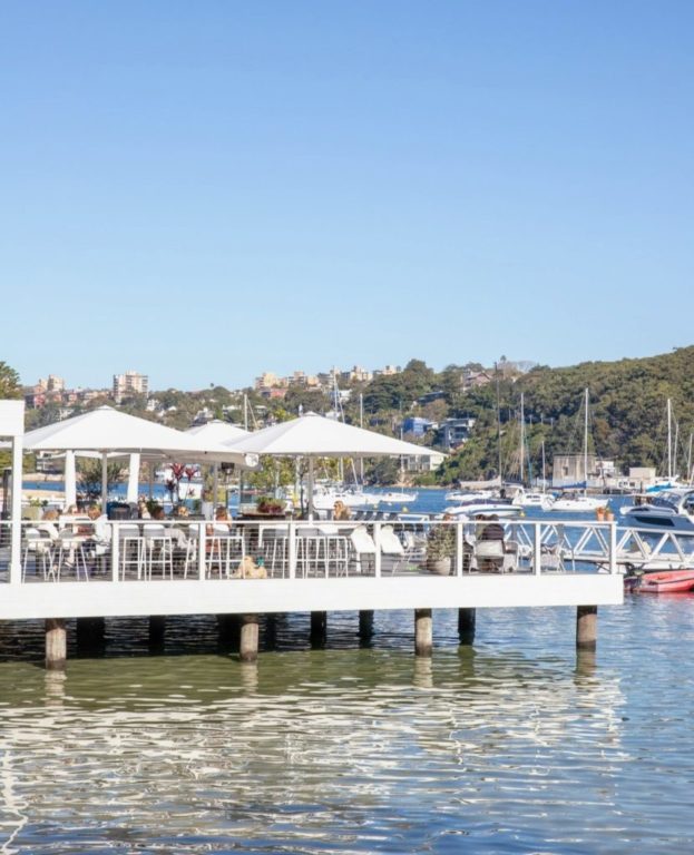 Sandy-Bear-Cafe-10 | Pupsy