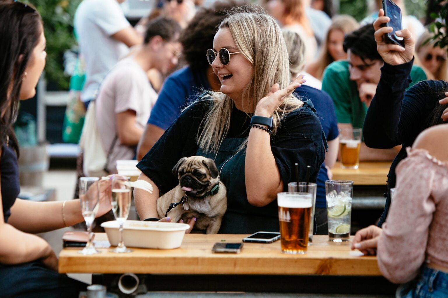 Dog Friendly Pubs & Bars | Discover Dog Friendly Places near you on Pupsy