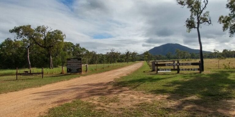 Top 15 Dog Friendly Camping Grounds in Queensland | Pupsy