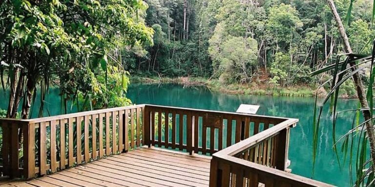 Top 15 Dog Friendly Camping Grounds in Queensland | Pupsy