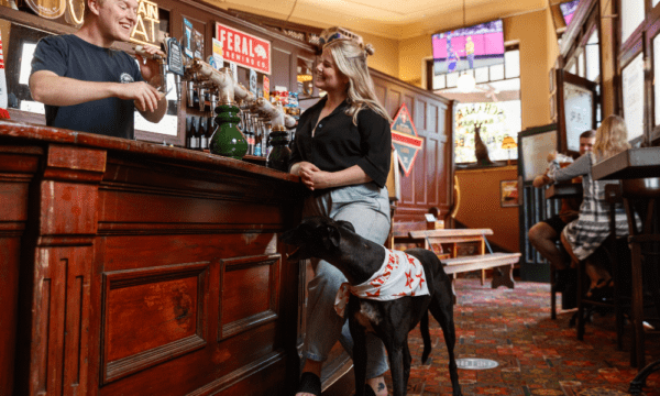 71 Dog Friendly Pubs In Sydney Welcoming Your Dog Inside | Pupsy