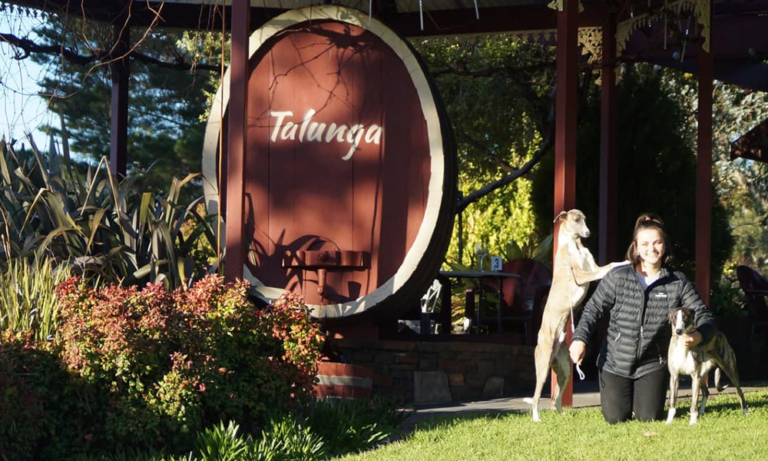The Best Dog Friendly Wineries, Pubs, Walks and more in Adelaide Hills!