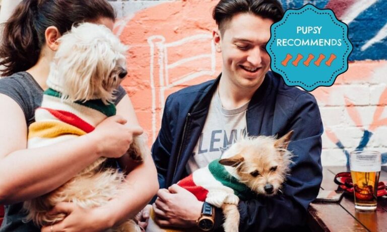 71 Dog Friendly Pubs In Sydney Welcoming Your Dog Inside | Pupsy