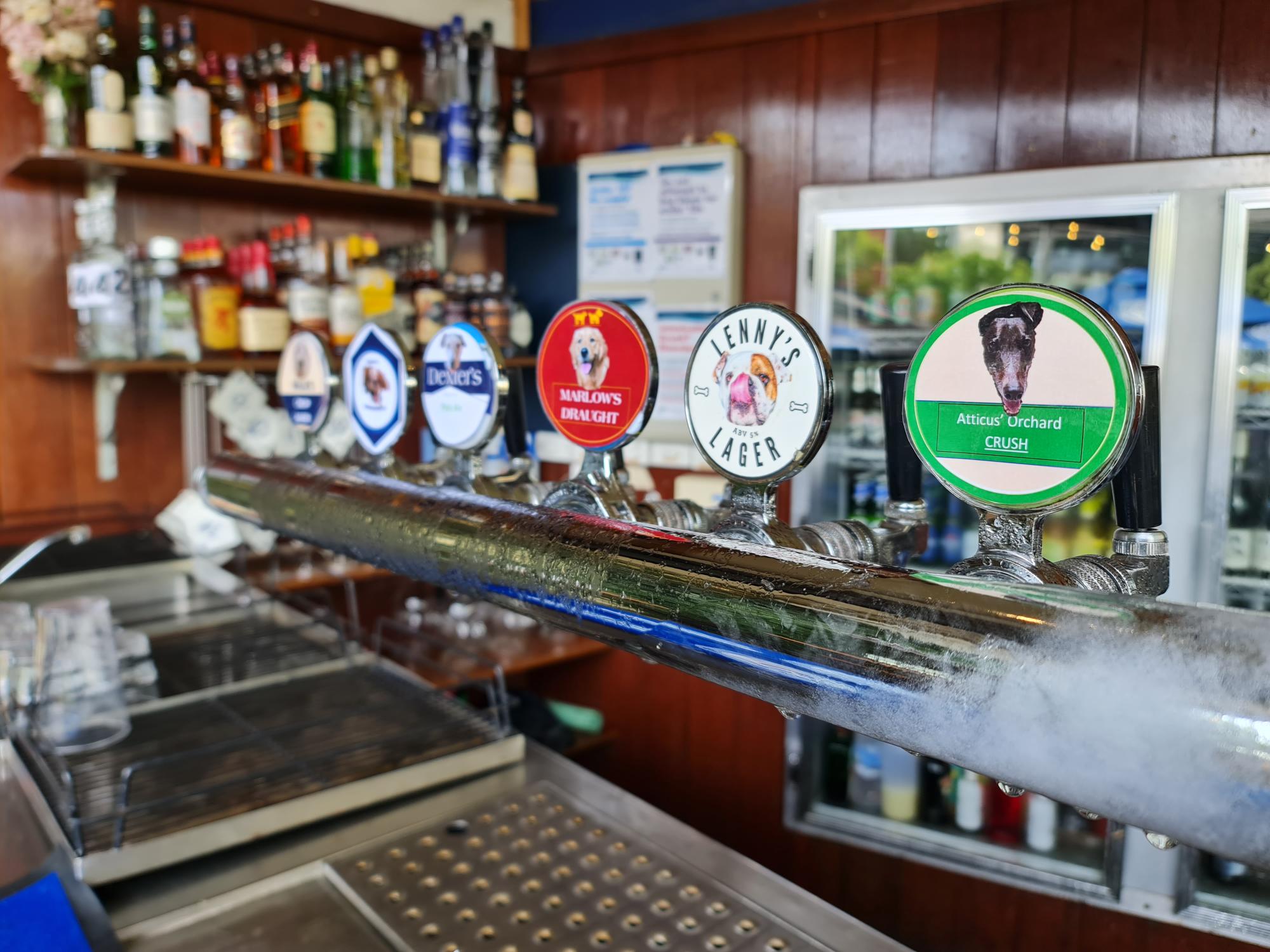 Paws on the Lawn - Dog Friendly Pub Event in Melbourne | Pupsy