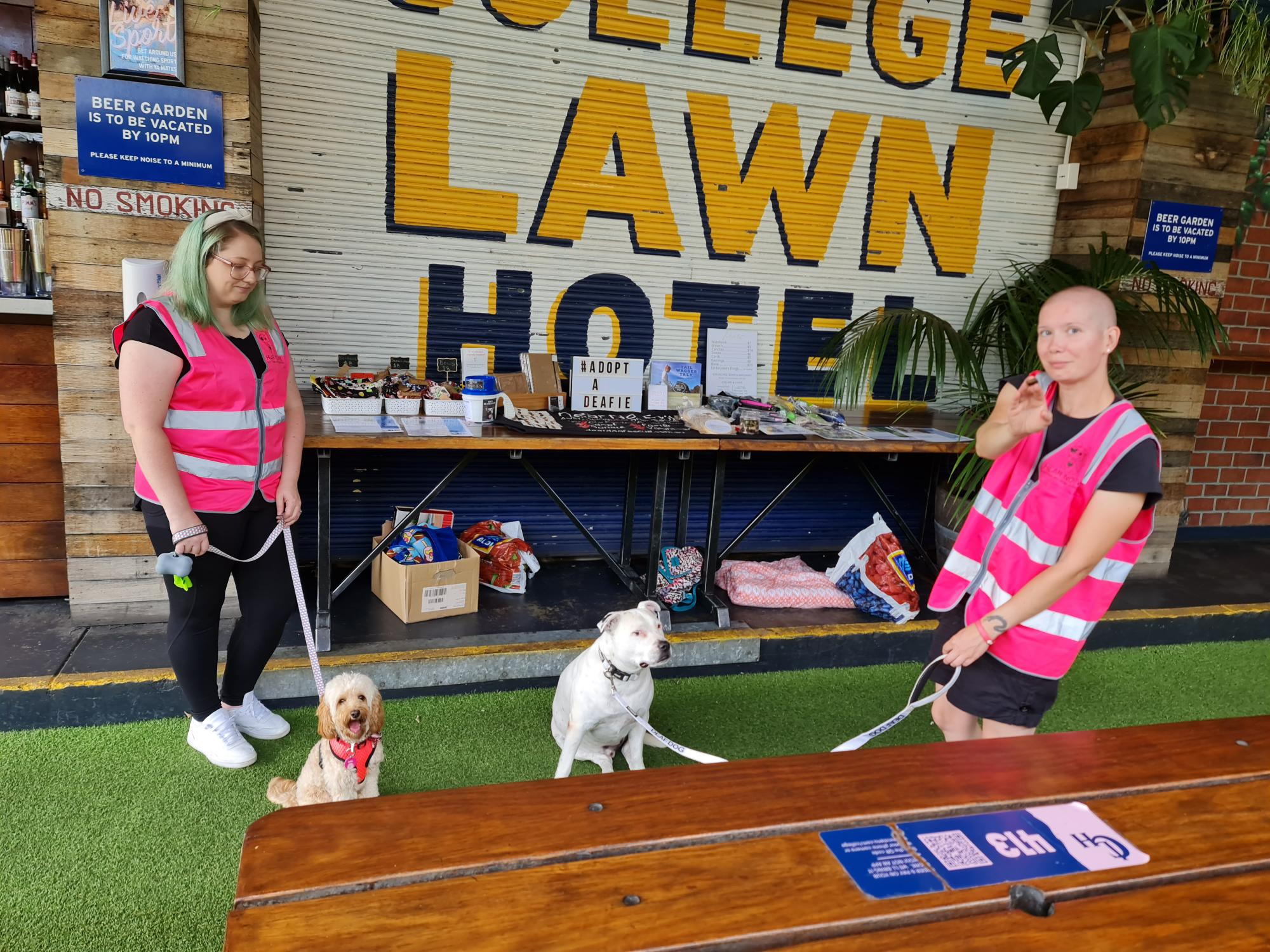 Paws on the Lawn - Dog Friendly Pub Event in Melbourne | Pupsy