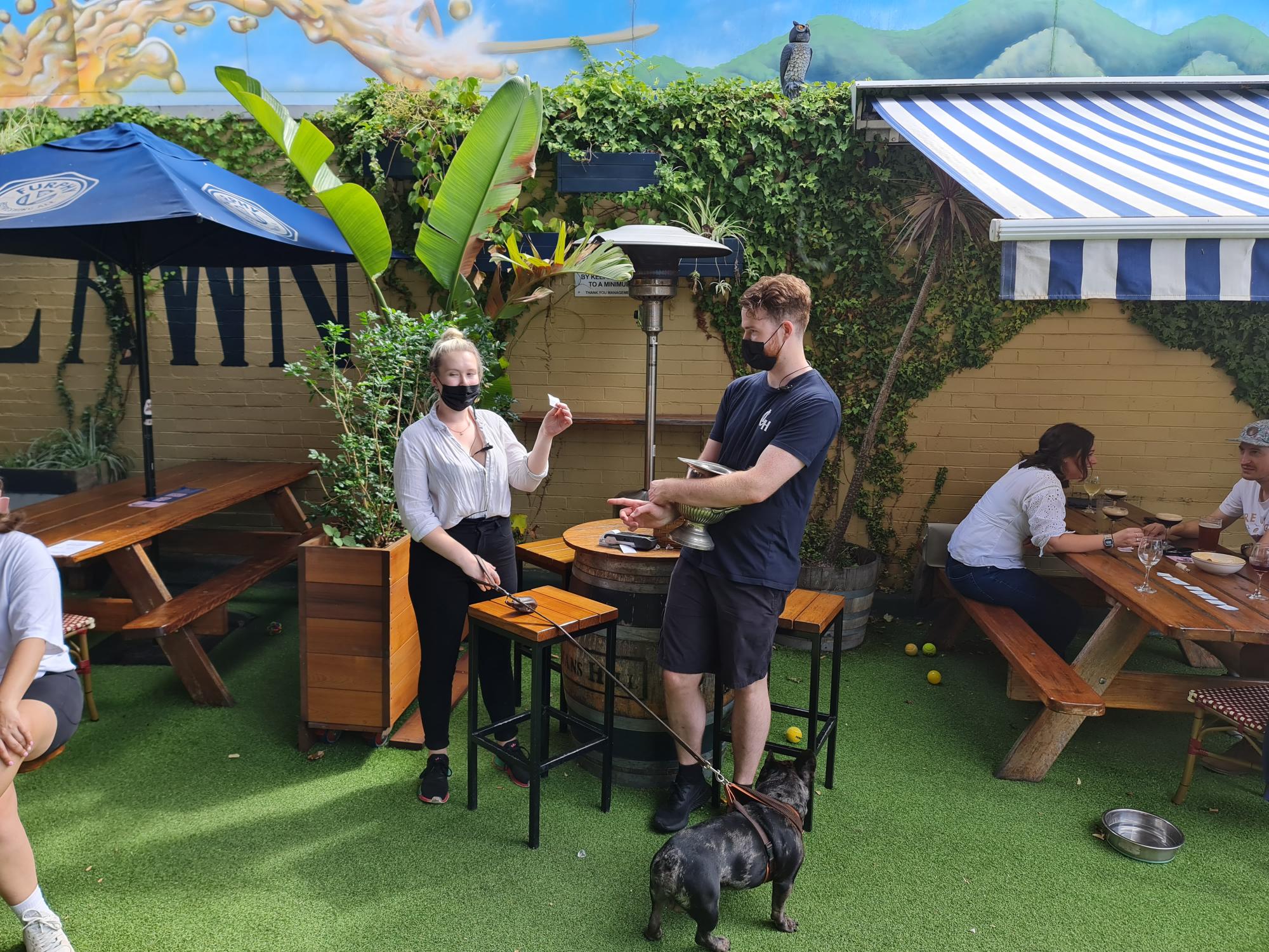 Paws on the Lawn - Dog Friendly Pub Event in Melbourne | Pupsy