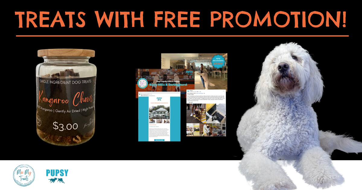 Pawfect Cafe & Bar Treats | Pupsy